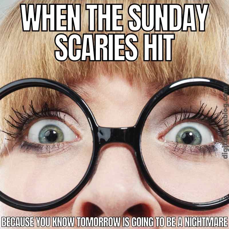 40 Funny Sunday Memes To Beat The End Of The Weekend Blues