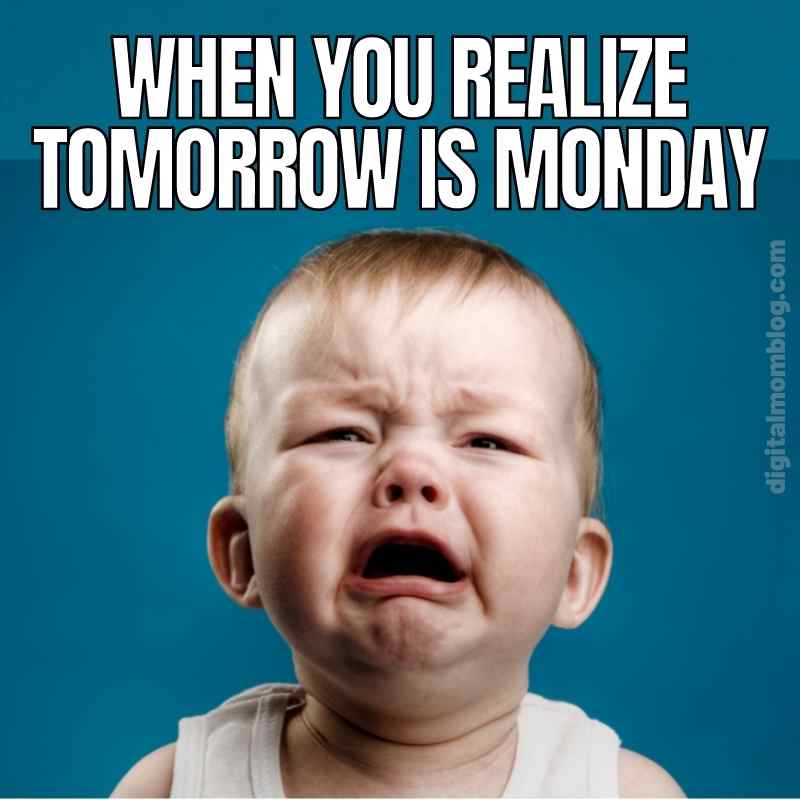 40 Funny Sunday Memes To Beat The End Of The Weekend Blues