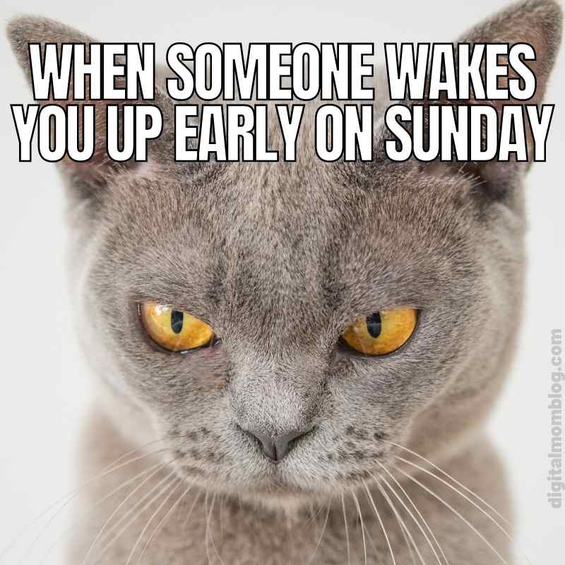 40 Funny Sunday Memes To Beat The End Of The Weekend Blues