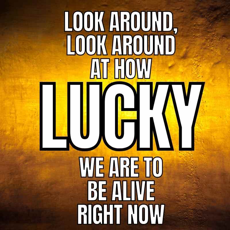 17 Funny Hamilton Memes: Where History Meets Hilarity