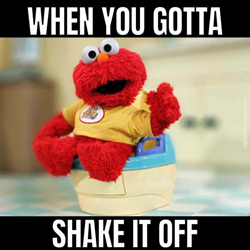 22 Best Taylor Swift Memes To Shake Off A Bad Day With