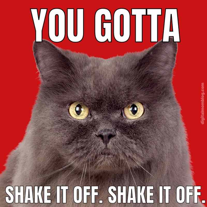 22 Best Taylor Swift Memes To Shake Off A Bad Day With