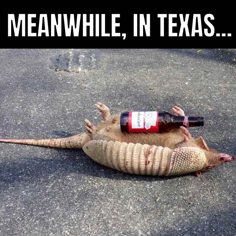 50 Hilarious Texas Memes That Will Make You Say Yee-Haw