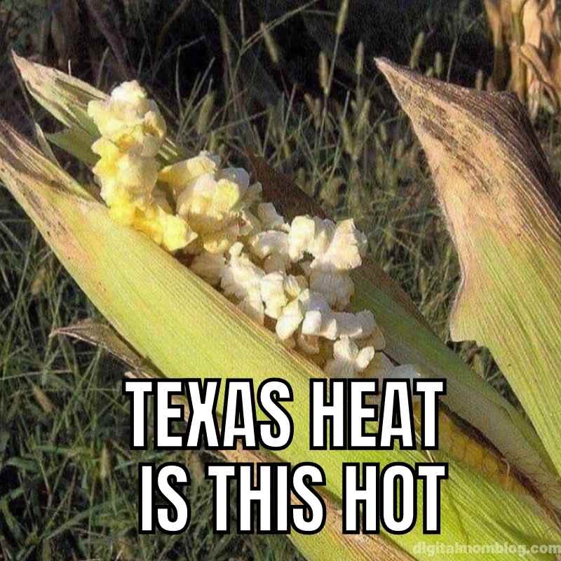 50 Hilarious Texas Memes That Will Make You Say Yee-Haw