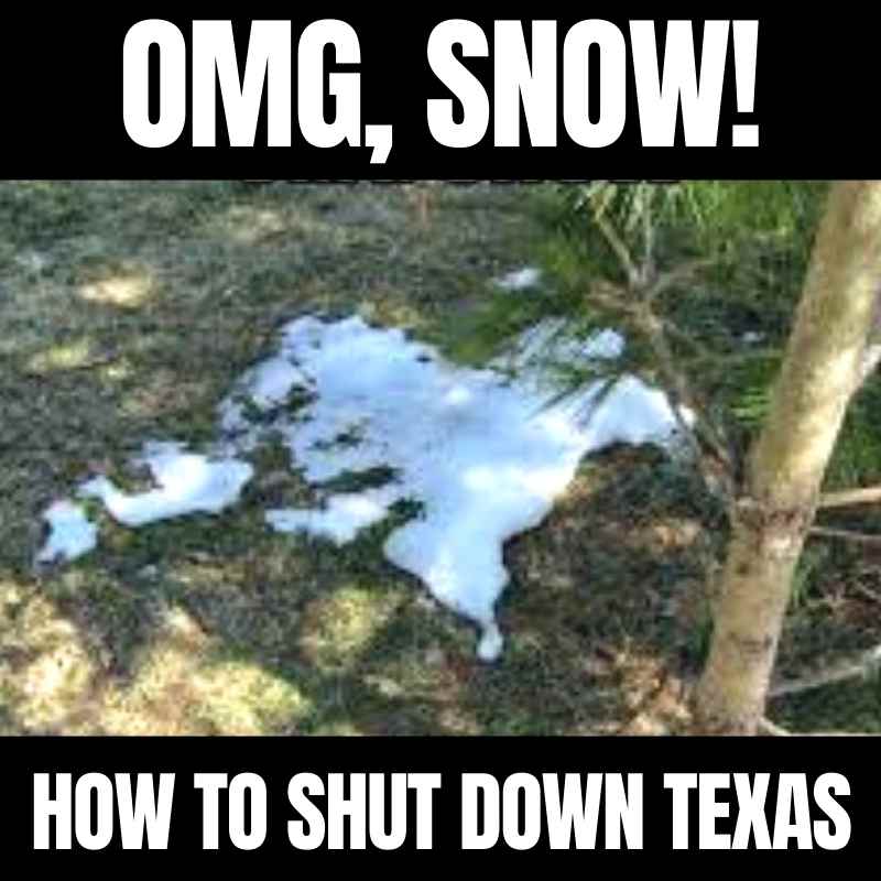 35 Hilarious Texas Winter Memes To Warm Your Heart