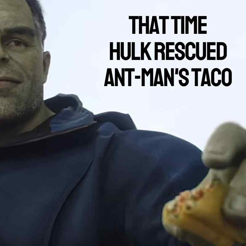 20 Funny Taco Memes For Every Taco Lover