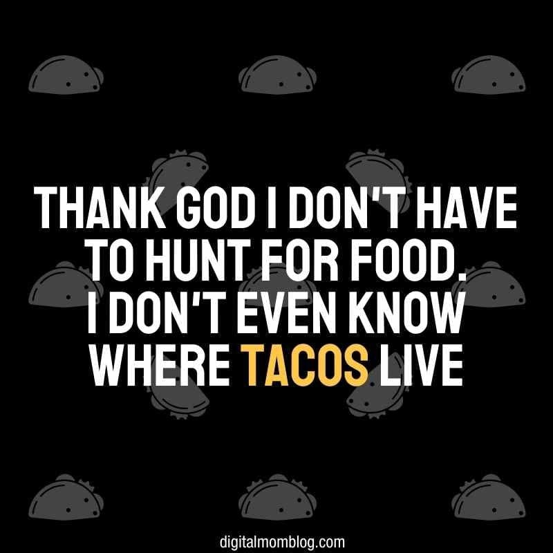 20 Funny Taco Memes For Every Taco Lover
