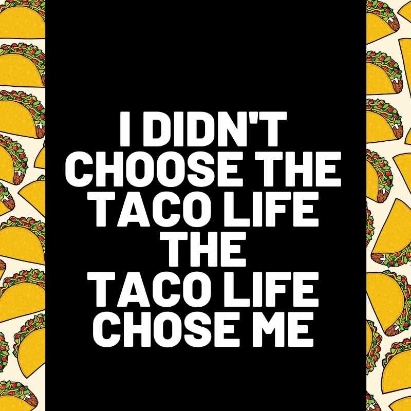 20 Funny Taco Memes For Every Taco Lover