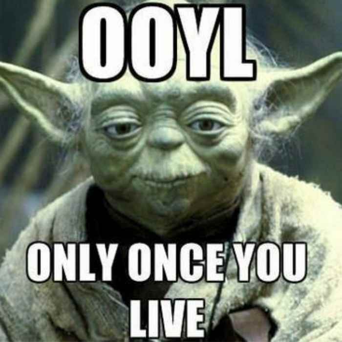 No Regrets Memes - 15+ Best YOLO And No Care Images To Share