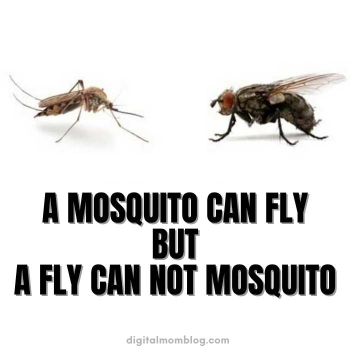 20 Funny Mosquito Memes For Bite Victims
