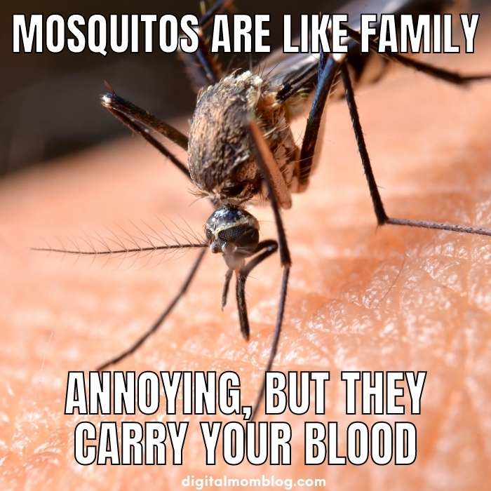 20 Funny Mosquito Memes For Bite Victims
