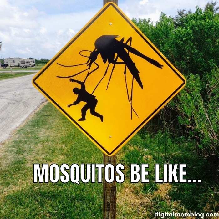 20 Funny Mosquito Memes For Bite Victims