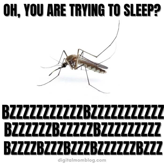 20 Funny Mosquito Memes For Bite Victims