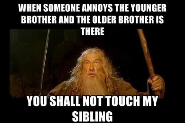 25 Best Brother Memes To Troll Your Sibling (or Laugh Together)