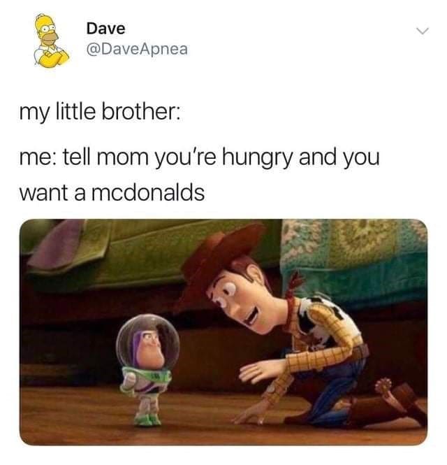 25 Best Brother Memes To Troll Your Sibling (or Laugh Together)