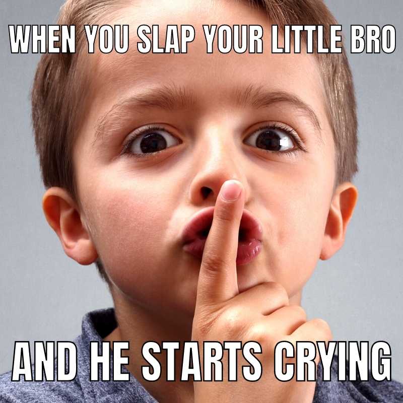 25 Best Brother Memes To Troll Your Sibling (or Laugh Together)