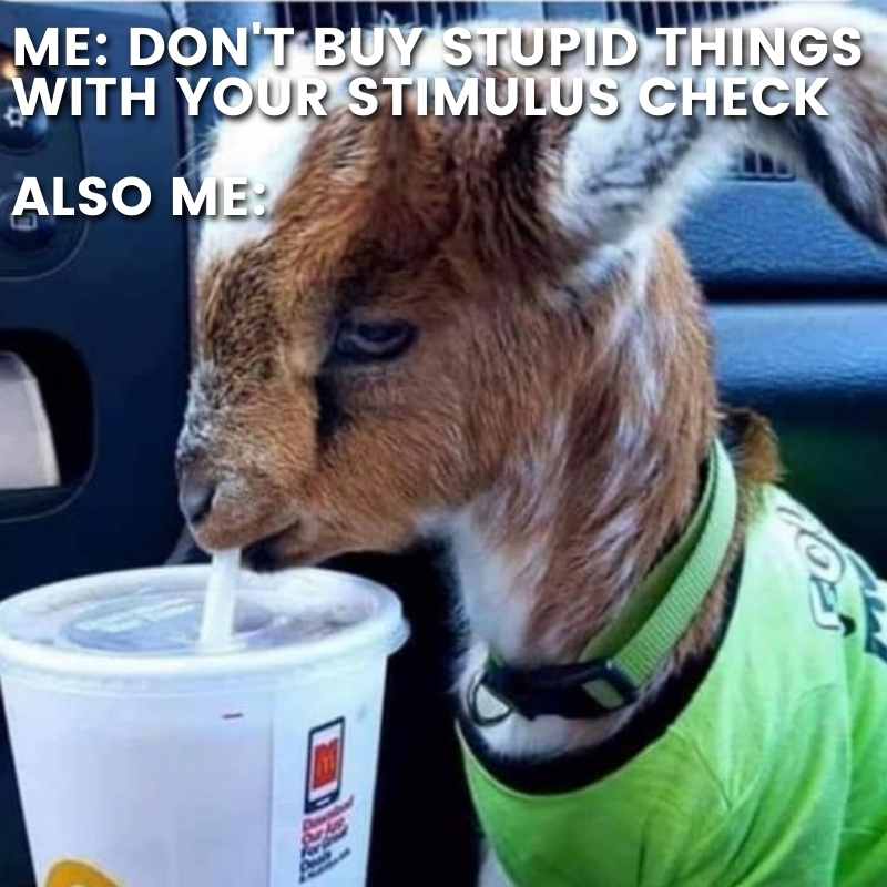18 Funny Stimulus Check Memes About That Free Money