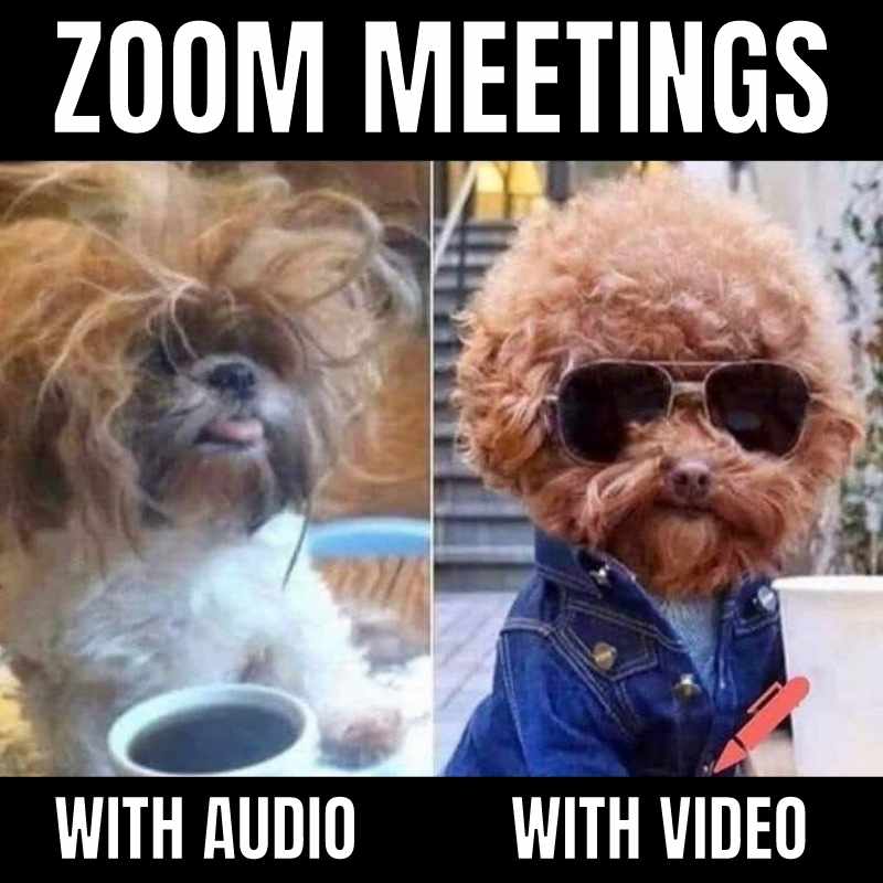 55 Hilarious Zoom Memes About Dreaded Video Meetings