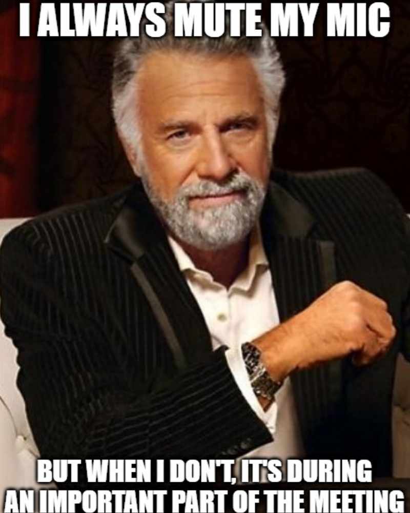 55 Hilarious Zoom Memes About Dreaded Video Meetings