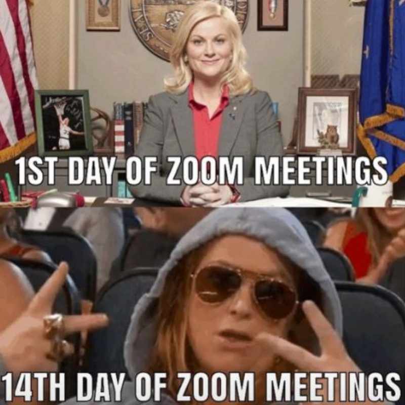 55 Hilarious Zoom Memes About Dreaded Video Meetings