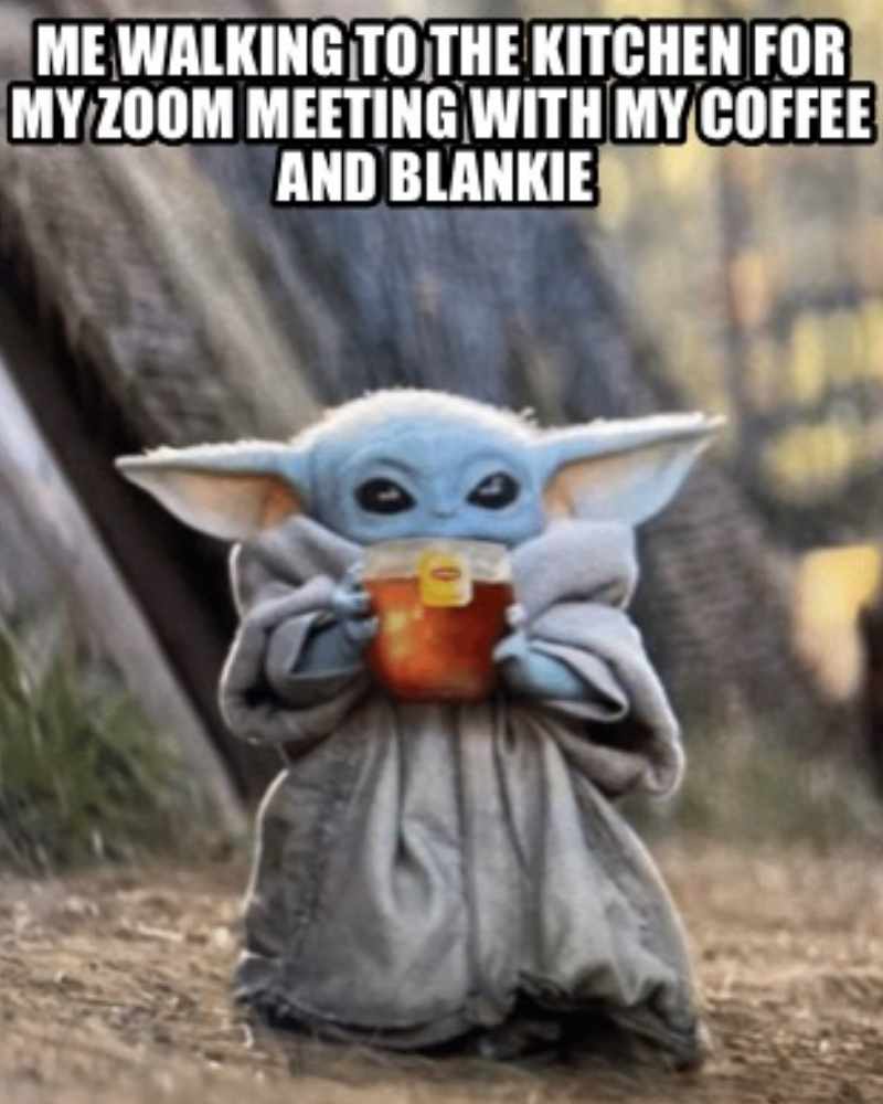 55 Hilarious Zoom Memes About Dreaded Video Meetings