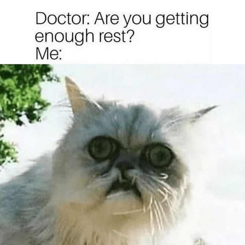 75 Funny Sleep Memes So Great You Will Forget You Are Tired