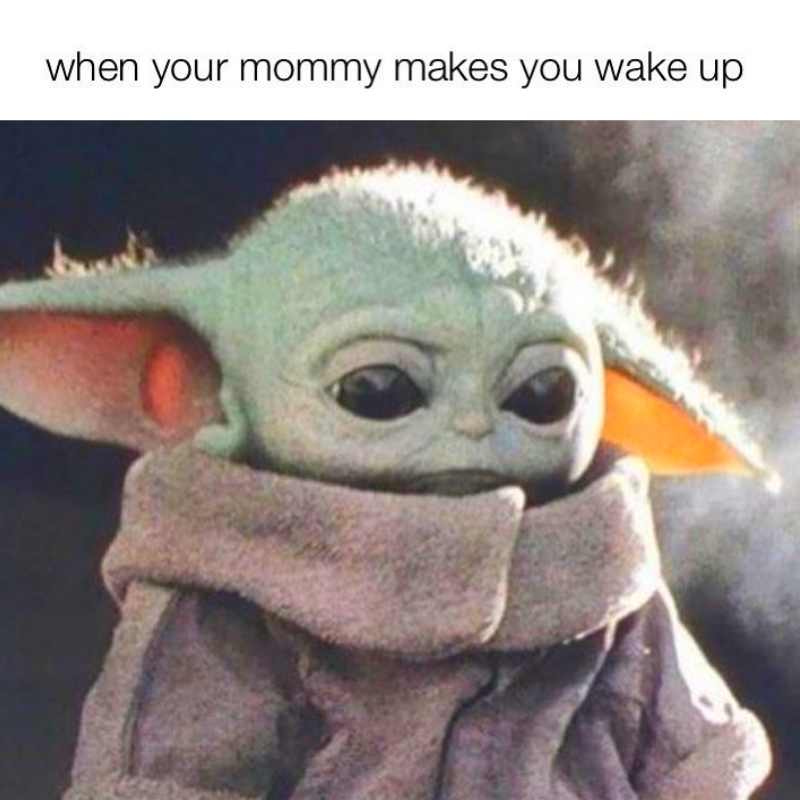 75 Funny Sleep Memes So Great You Will Forget You Are Tired