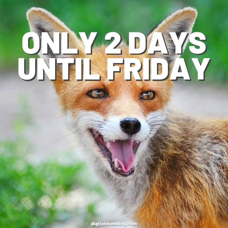 50 Fun Wednesday Memes To Get You Through The Mid-Week Slump