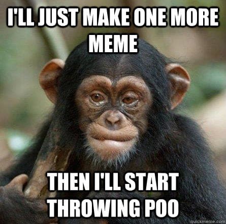 20 Hilarious Monkey Memes To Instantly Brighten Your Day