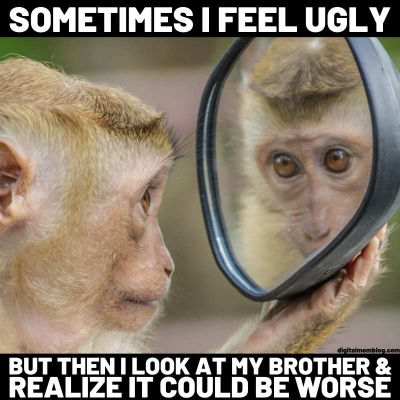 20 Hilarious Monkey Memes To Instantly Brighten Your Day