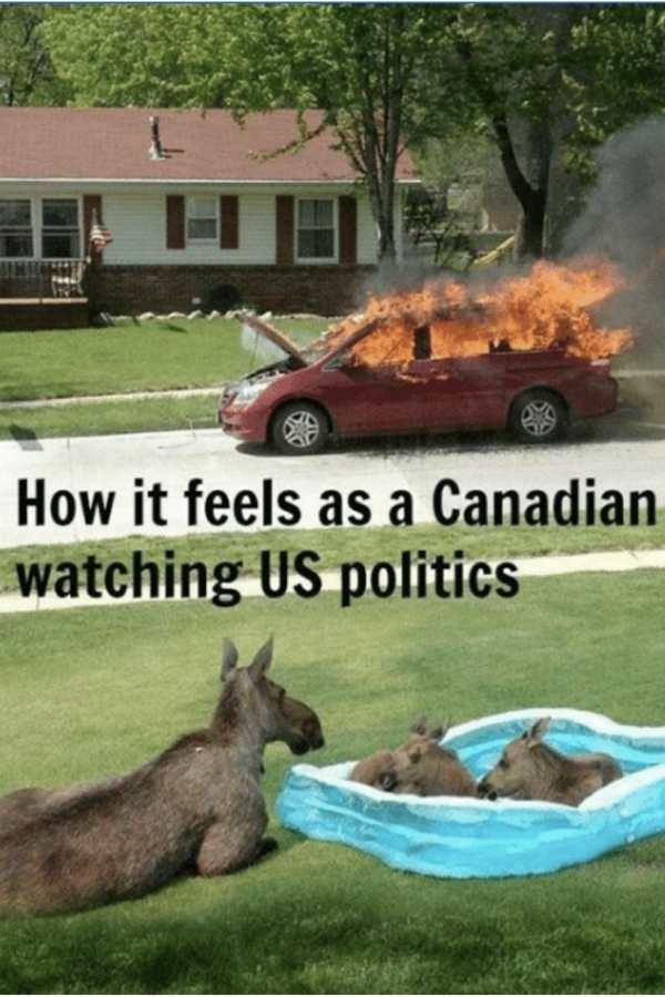 Best Election Memes: Vote And Use Your Voice 2024