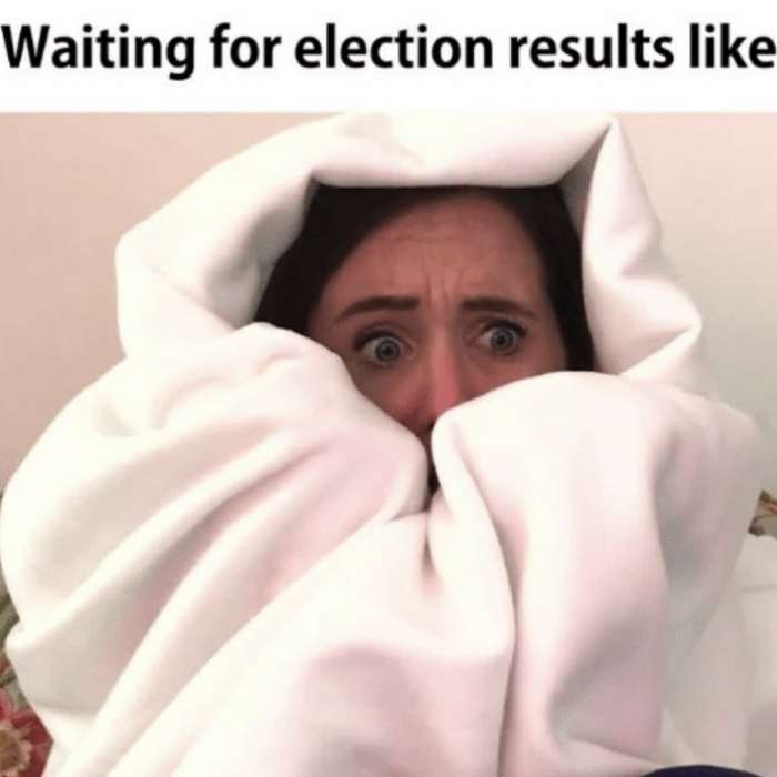 Best Election Memes: Vote And Use Your Voice 2024