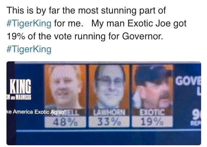 25 Funny Tiger King Memes With Joe Exotic And More