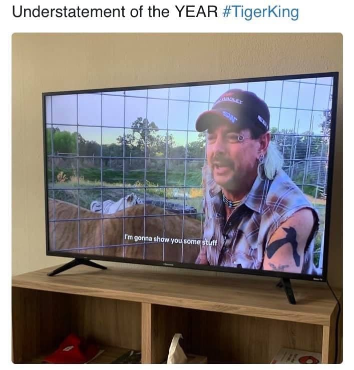 25 Funny Tiger King Memes With Joe Exotic And More