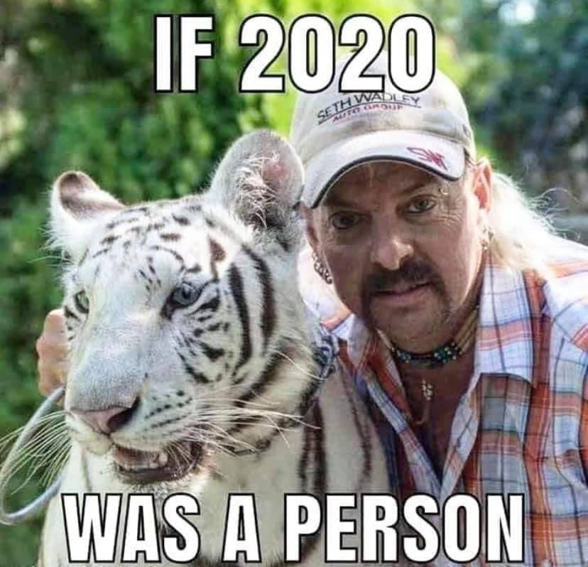 25 Funny Tiger King Memes With Joe Exotic And More