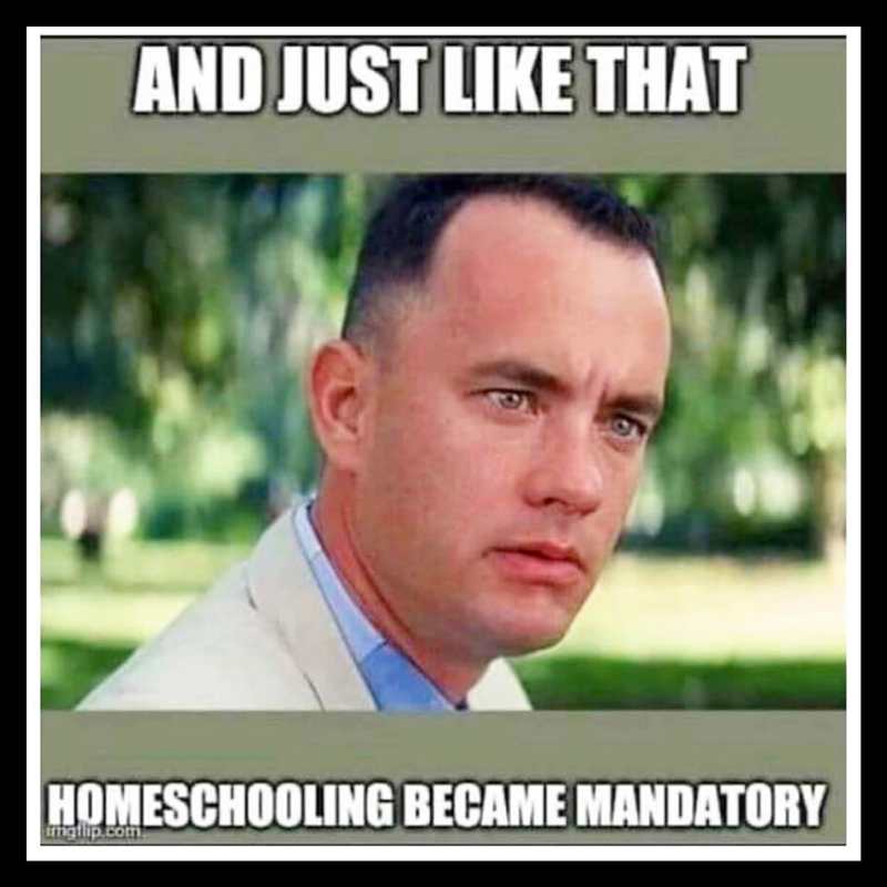21 Hilarious School Closing Memes For When Theres No School