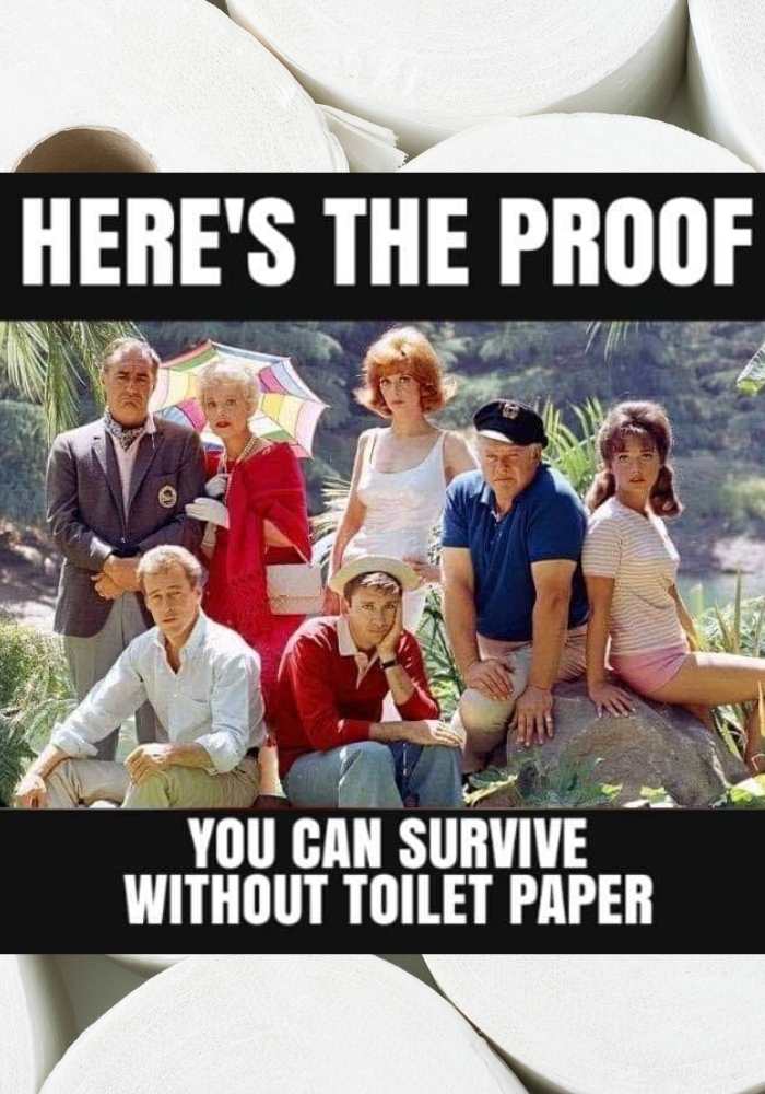 20 Hilarious Toilet Paper Memes To Wipe Away Boredom
