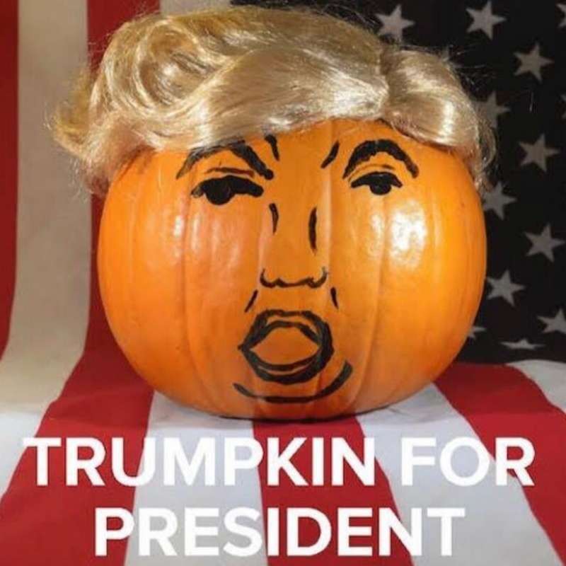 25 Best Pumpkin Memes And Jokes For Fall Lovers
