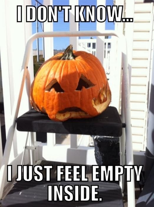 25 Best Pumpkin Memes And Jokes For Fall Lovers