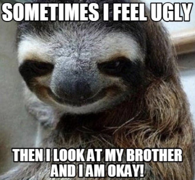 25 Best Brother Memes To Troll Your Sibling (or Laugh Together)