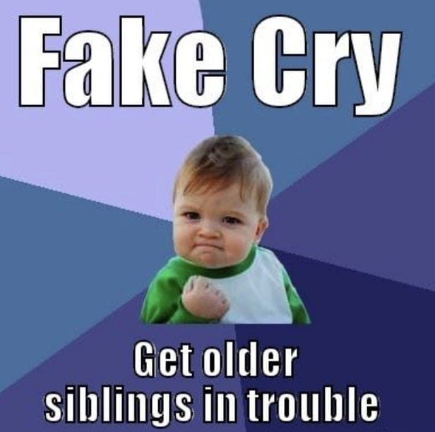 50 Hilarious Sibling Memes: From Fights To Fun!