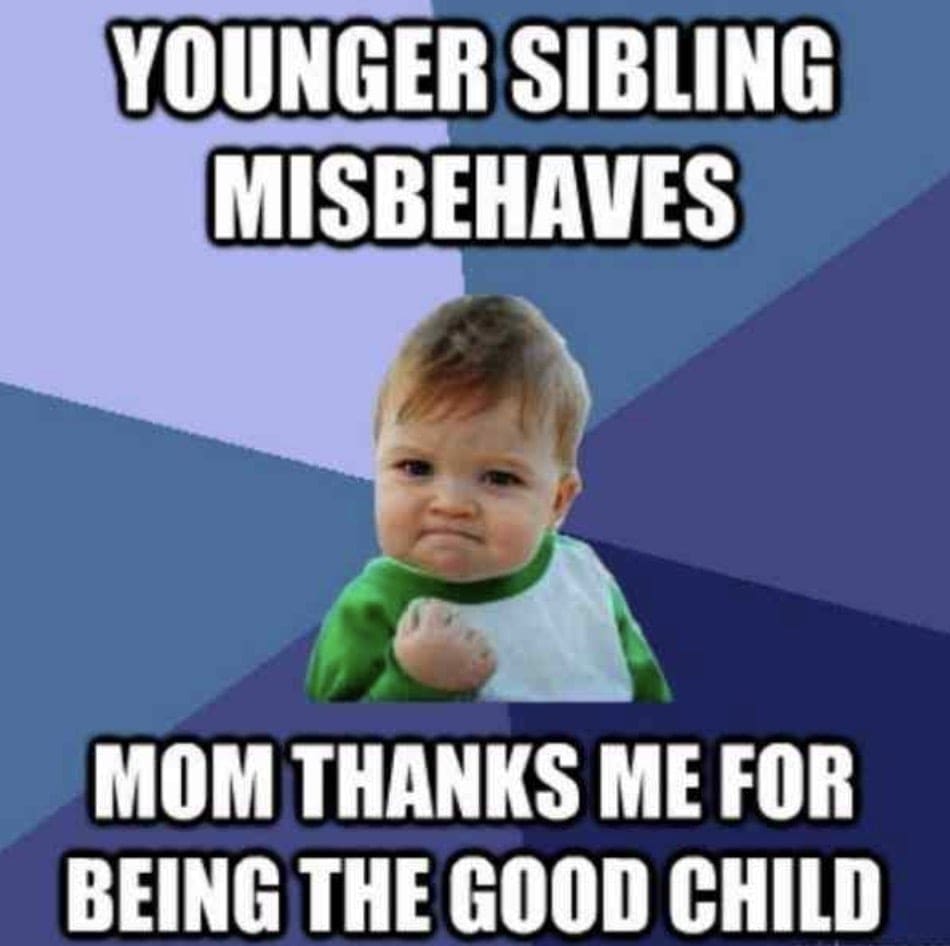 50 Hilarious Sibling Memes: From Fights To Fun!