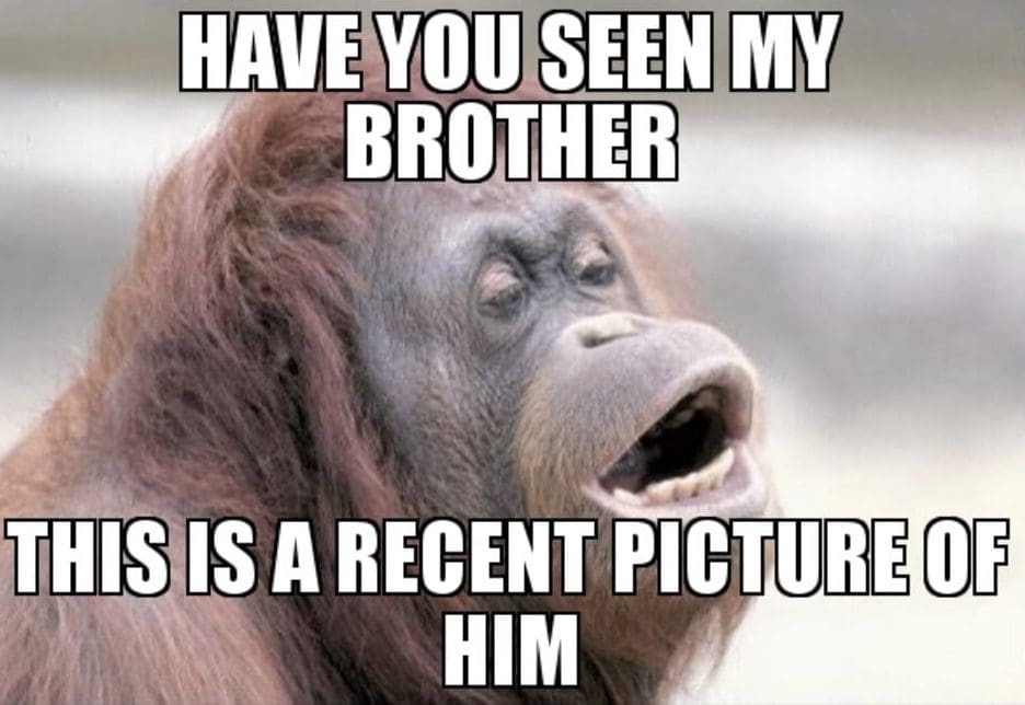 25 Best Brother Memes To Troll Your Sibling (or Laugh Together)
