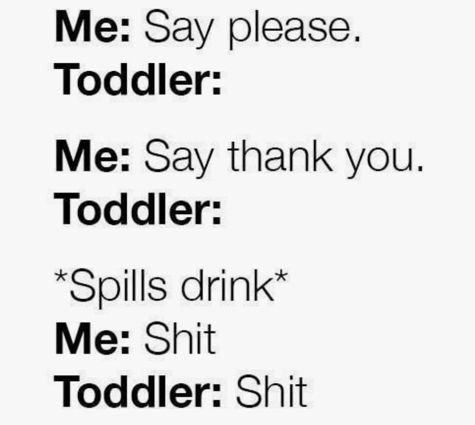 51 Hilarious Toddler Memes Every Tot Parent Can Relate To