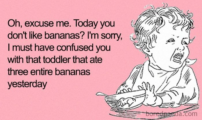 51 Hilarious Toddler Memes Every Tot Parent Can Relate To