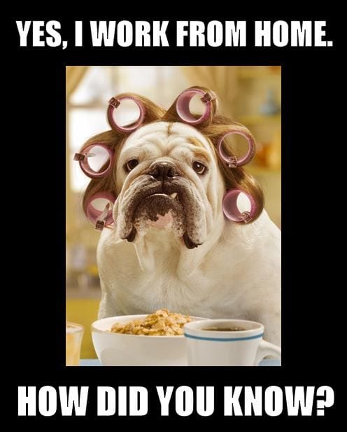 70 Funny Work From Home Memes Remote Workers Will Relate To