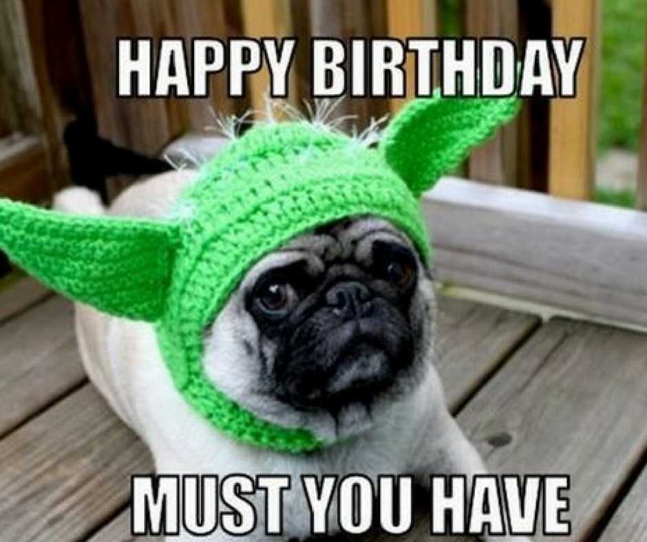 30 Epic Star Wars Birthday Memes: From Heroic To Hilarious