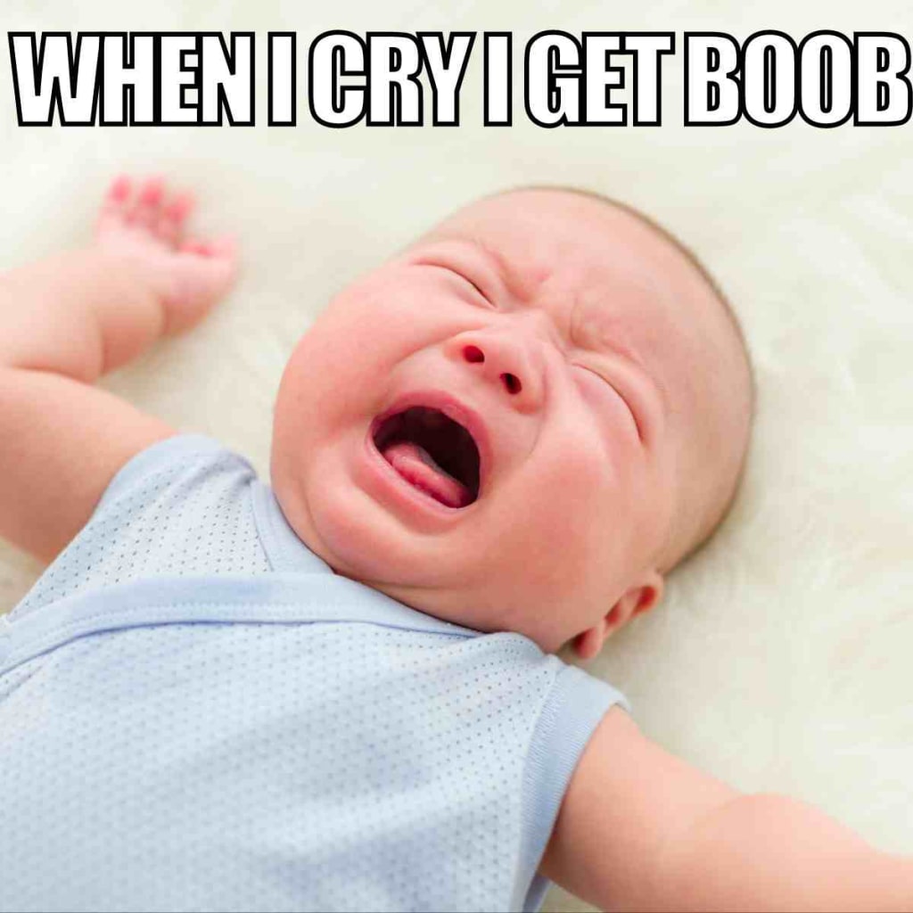 12 Crying Baby Memes That Every New Parent Can Relate To