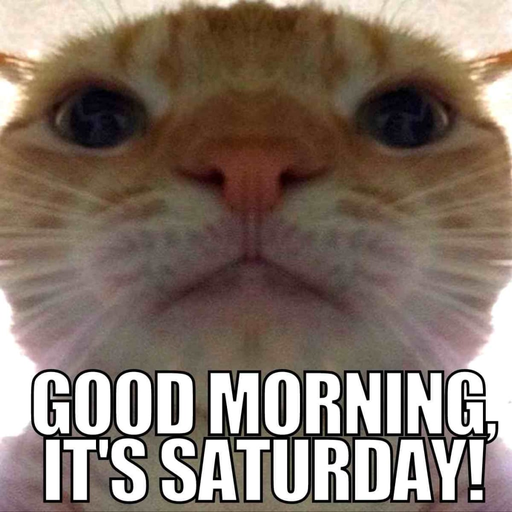 50 Awesome Saturday Memes To Supercharge Your Weekend Vibes