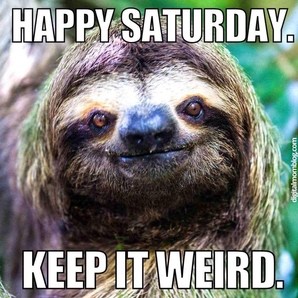 50 Awesome Saturday Memes To Supercharge Your Weekend Vibes
